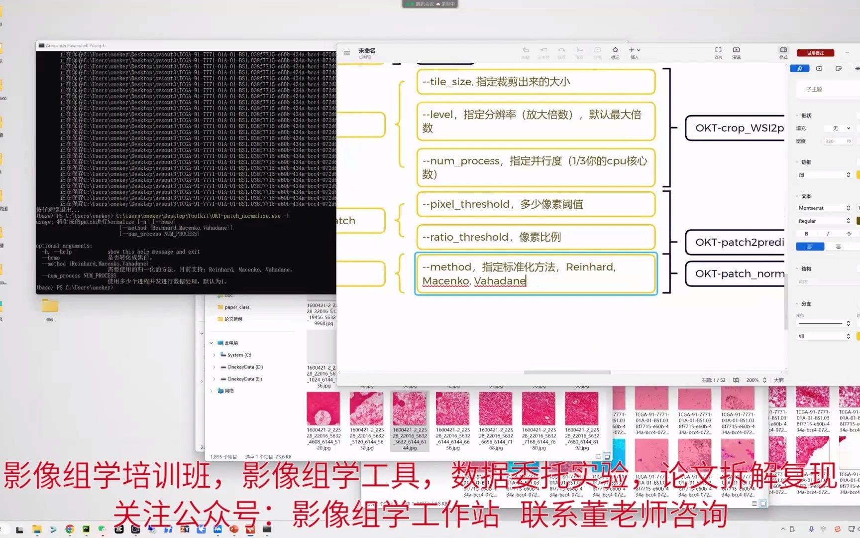 病理组学中的数据标准化如何实现