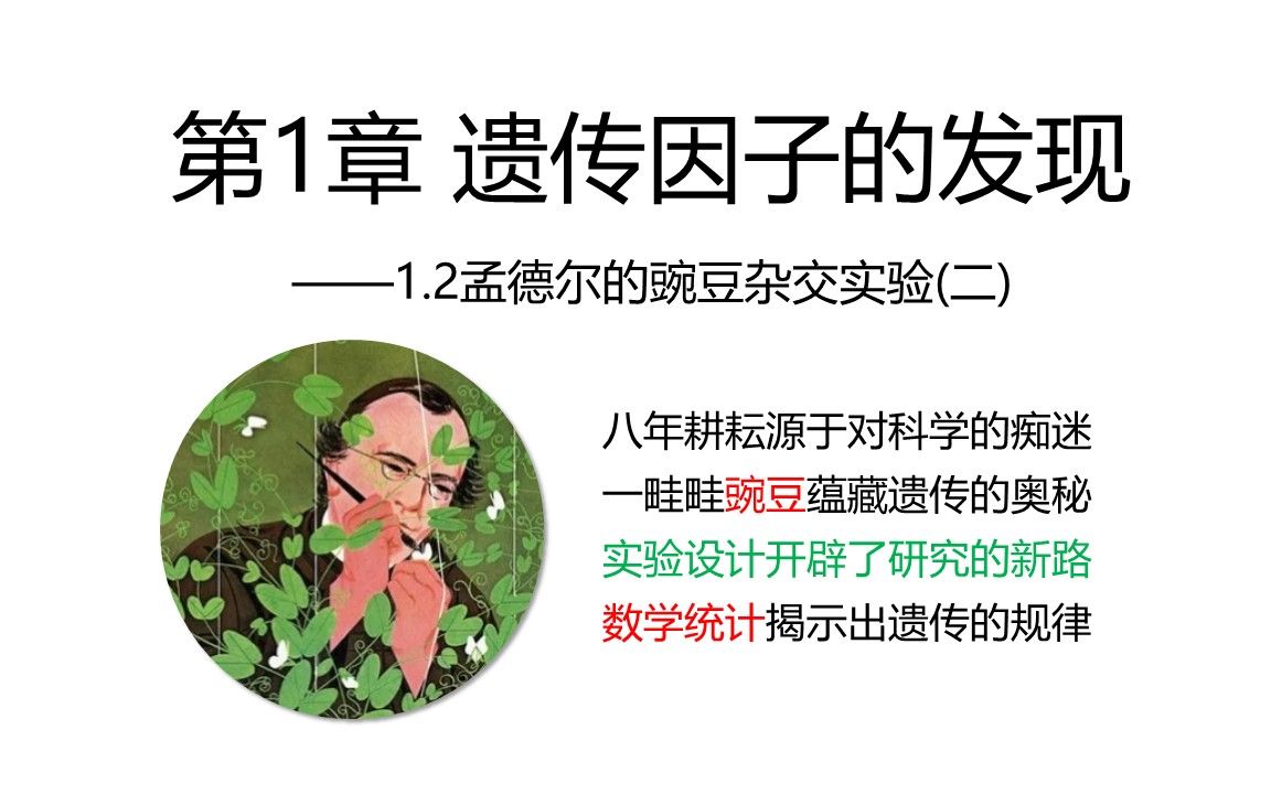 1.2自由组合定律(详细解析孟德尔实验的逻辑,做遗传题,就看能不能理解...