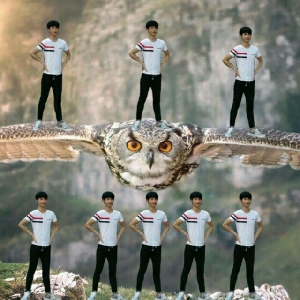中华人士 