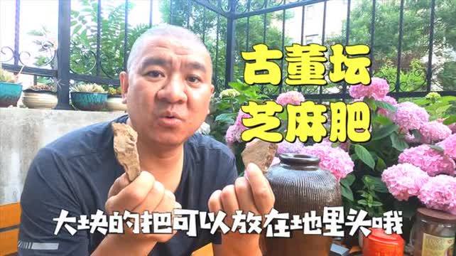 疑似古董的坛子却用来沤肥?芝麻饼沤制氮磷钾有机复合肥科学.