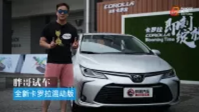 胖哥试车 全新卡罗拉混动版