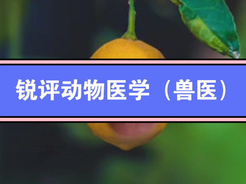 锐评动物医学/兽医,能接受兽医工作环境的,扎根三农,那就是好工作,想...