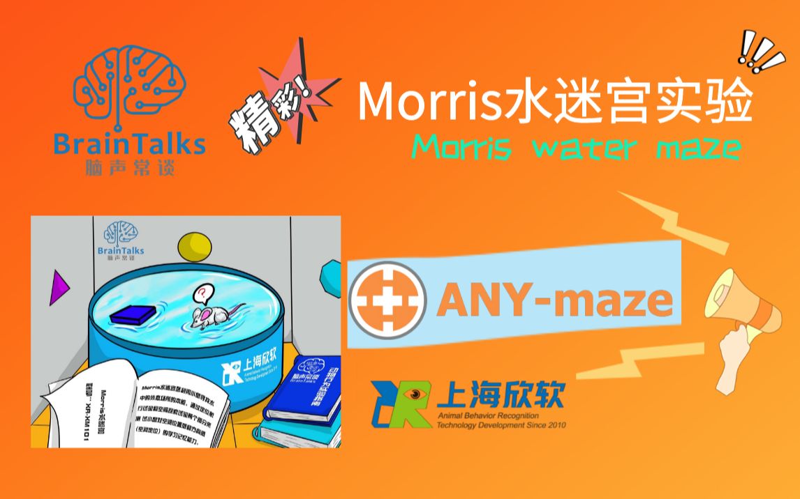 ANYmaze软件教程系列:Morris水迷宫实验(Morris water maze)