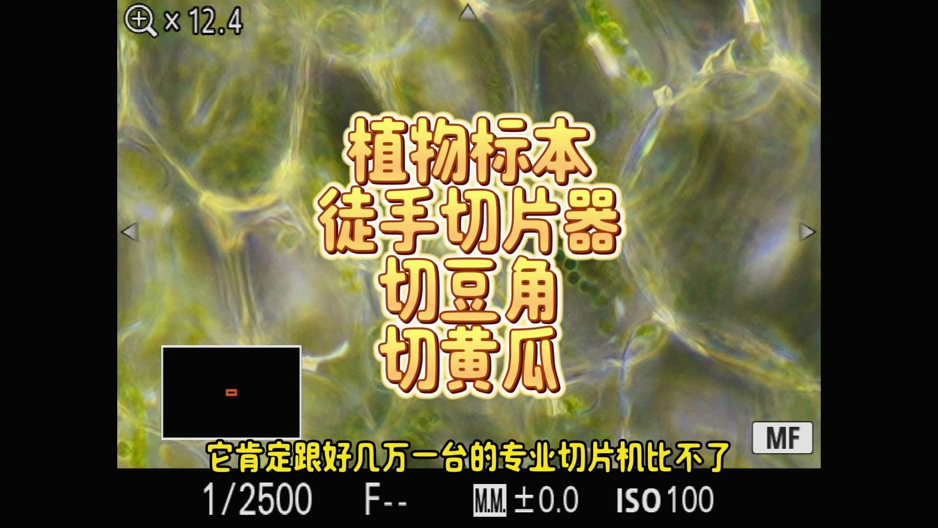 5月30日 徒手切片器 横屏