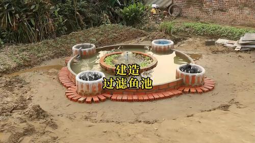 小伙在菜地里建造了一个鱼池过滤循环系统,再也不用给鱼池换水了