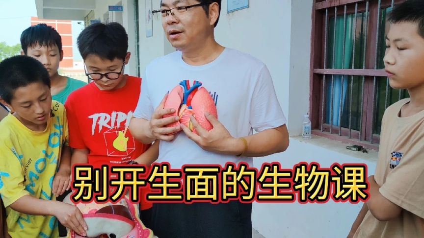 一堂别开生面的生物课,解读人体内部器官结构和生理功能(2)