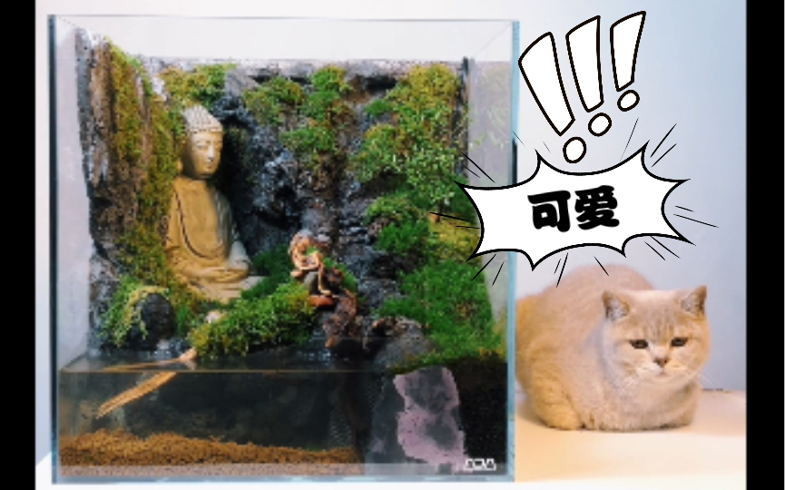 佛系瀑布流水生态景观 桌面乌龟缸溪蟹流水造景缸半水龟生态雨林...
