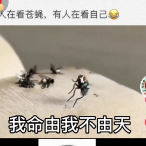 折纸空想 
