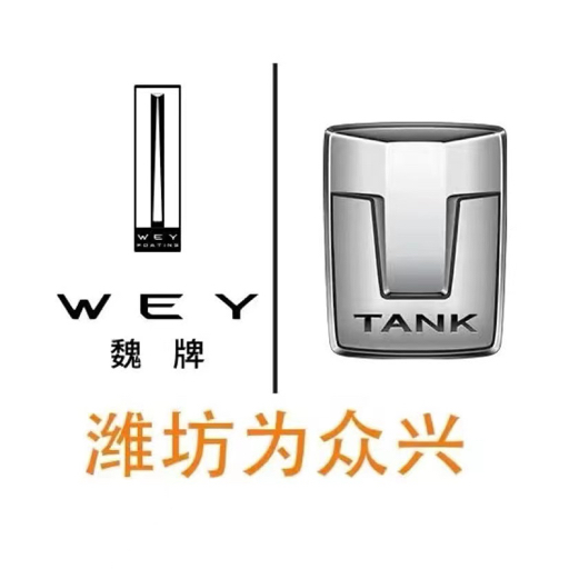 潍坊为众兴WEY旗舰店 