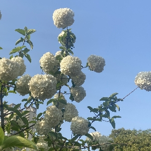 小全栈 