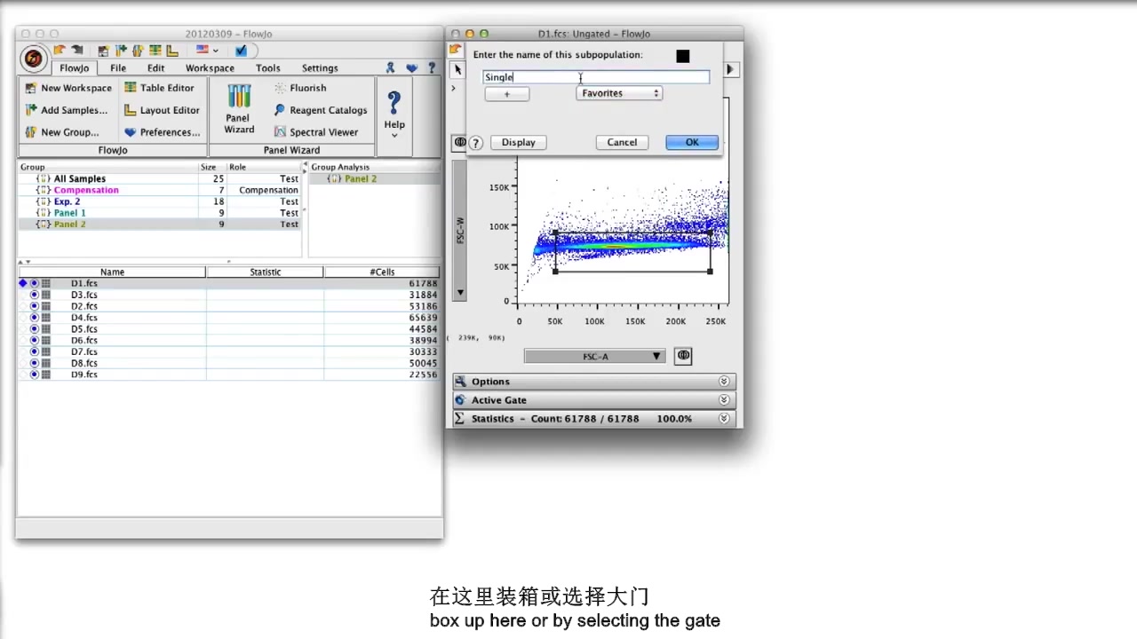 Flowjo：流式细胞结果分析（T细胞为例）