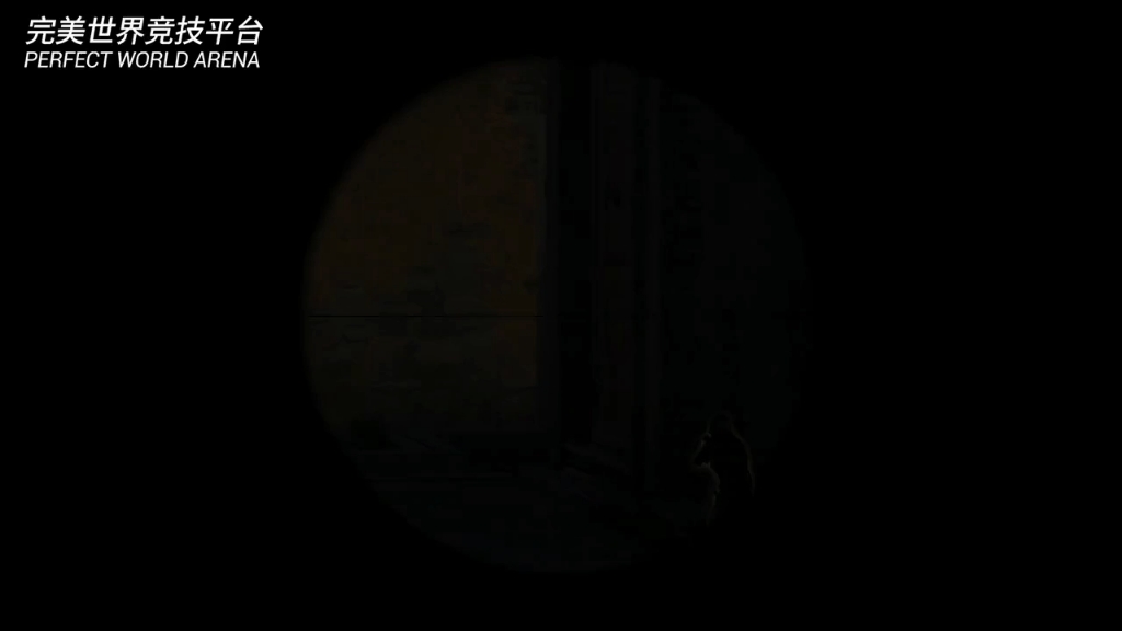 有人知道CSGO用什么软件录屏效果最好嘛,最好是还能从QQ传到手机...
