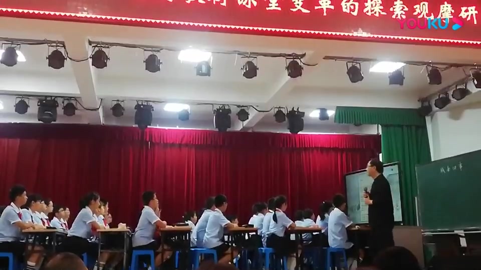 23(高清)王崧舟《城南旧事》名师优质公开课 教学实录 小学语文 部编...