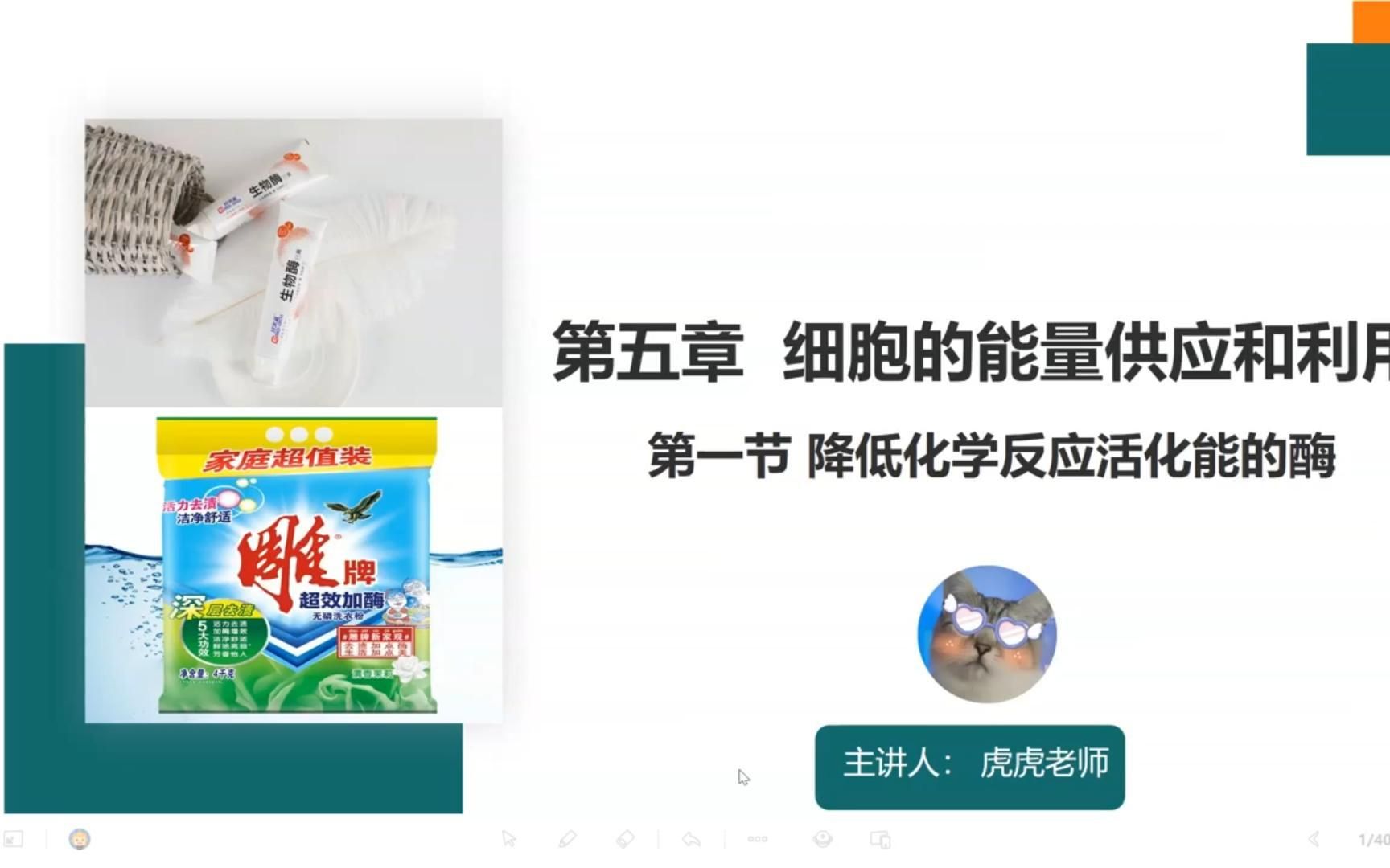新高一必看!生物同步5-1降低化学反应活化能的酶
