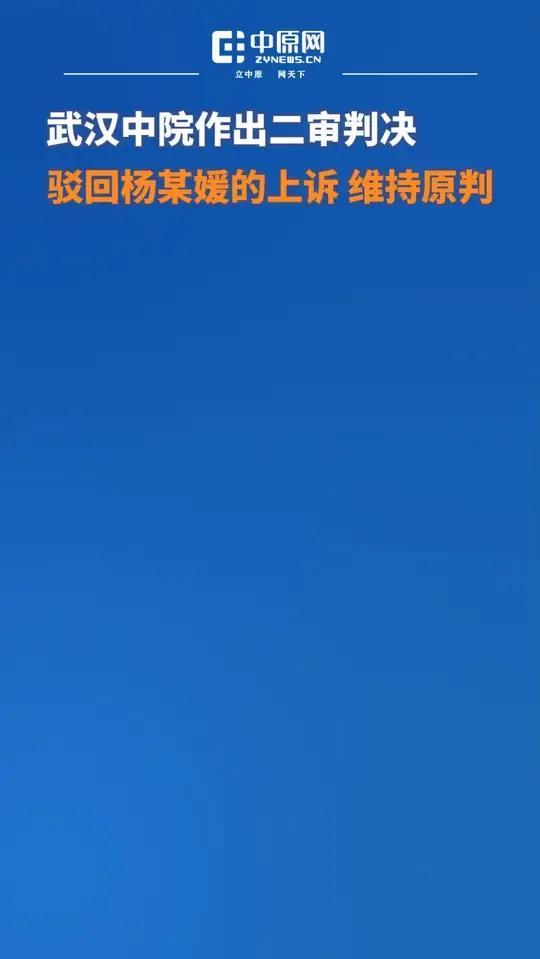 ...向武汉中院提起上诉。武汉中院经不公开开庭审理后认为,一审判决...