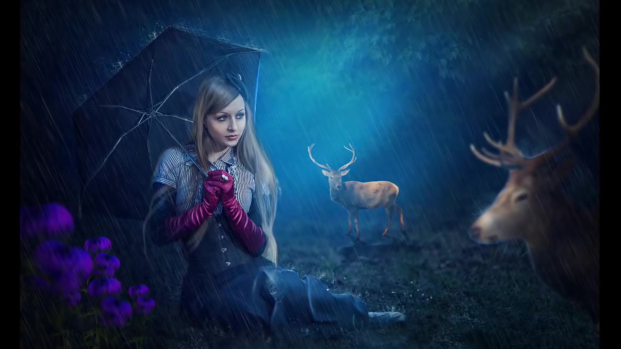 转载【 PS教程】用PS打造出雨季梦幻森林场景合成