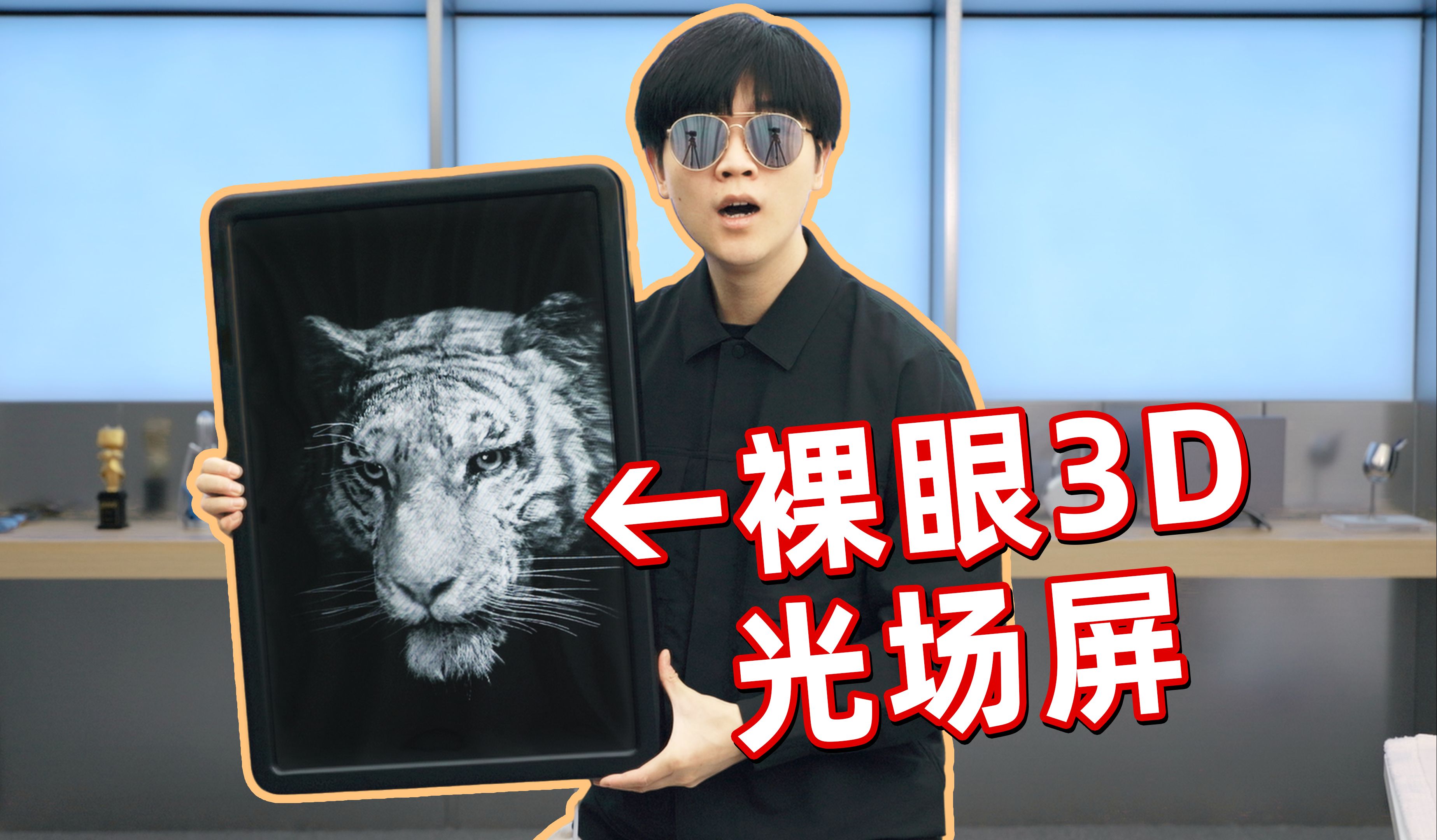 【小拉】开箱全息裸眼3D屏,显示器的未来?