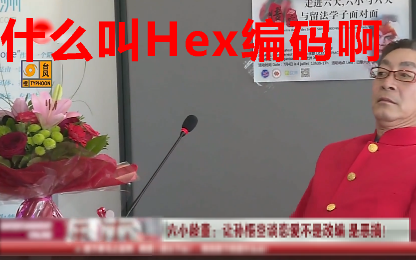 什么叫国际Hex编码啊!