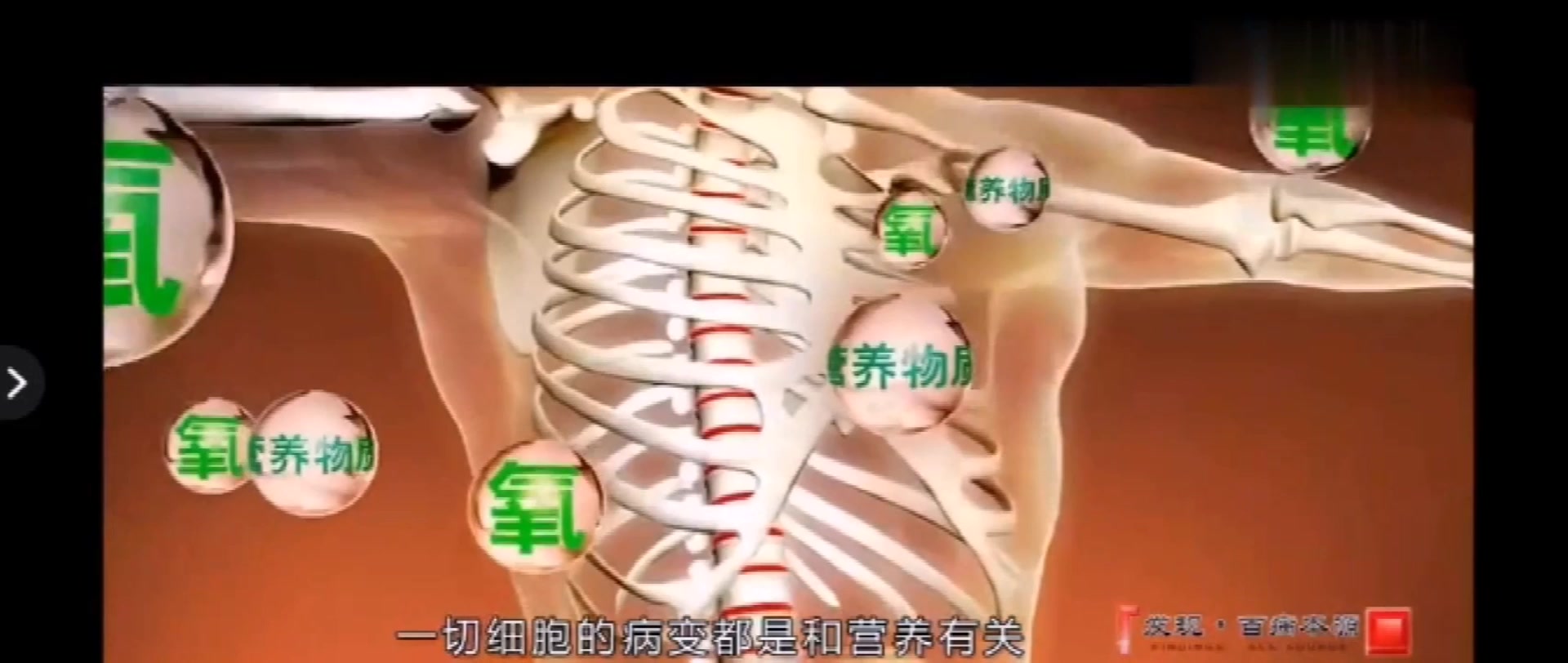 小分子肽的介绍