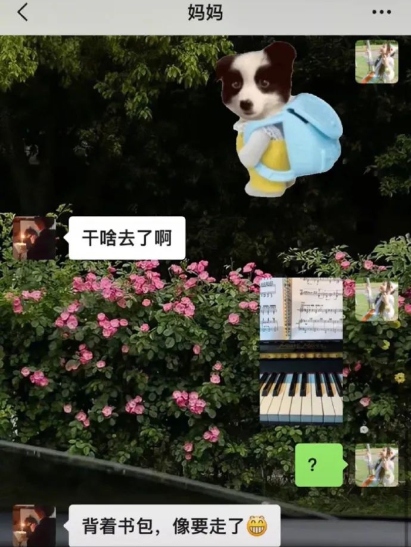 不要乱发表情包给你父母