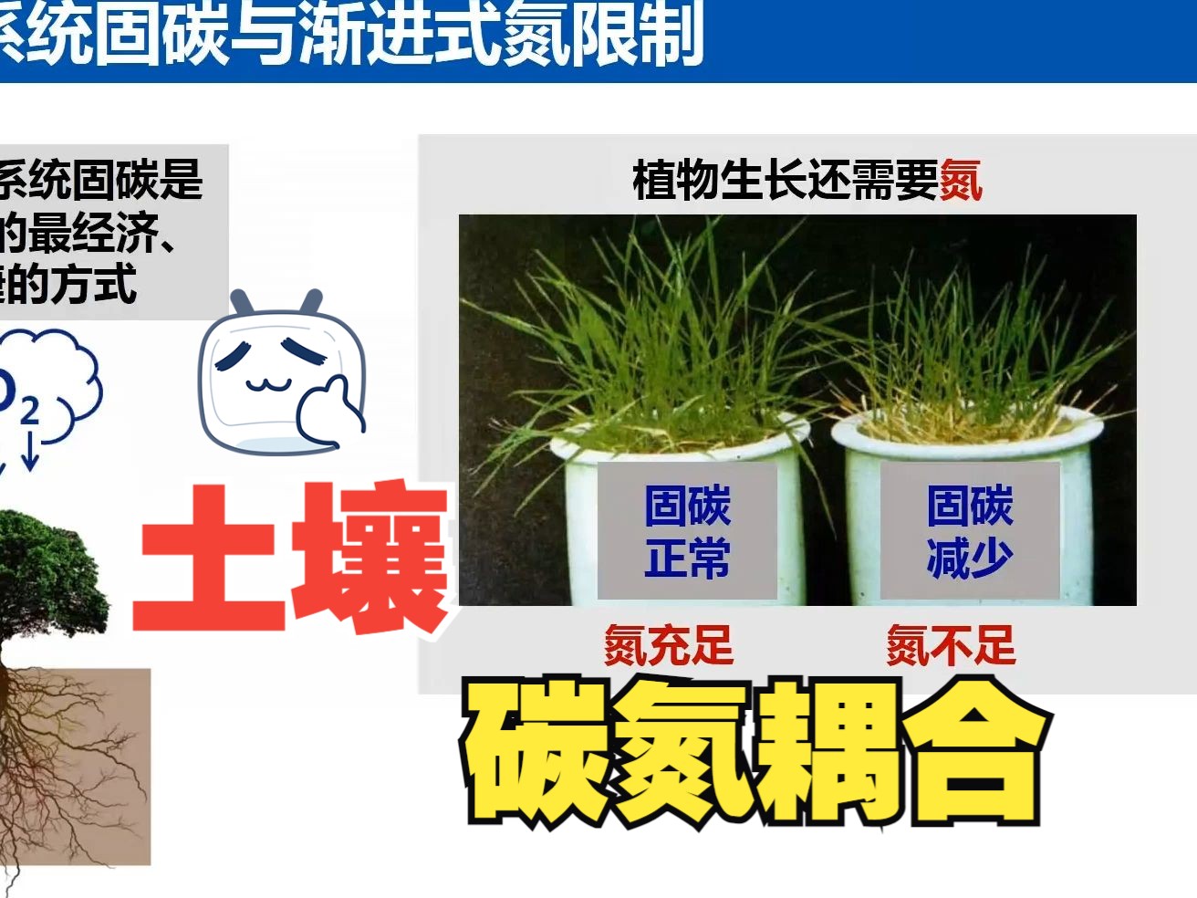 白娥-土壤碳氮循环耦合