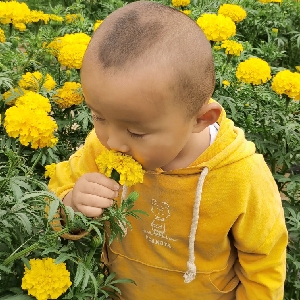七乱八糟的你 