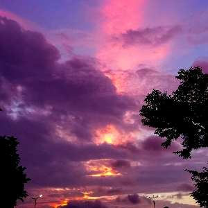 台风不粉红 