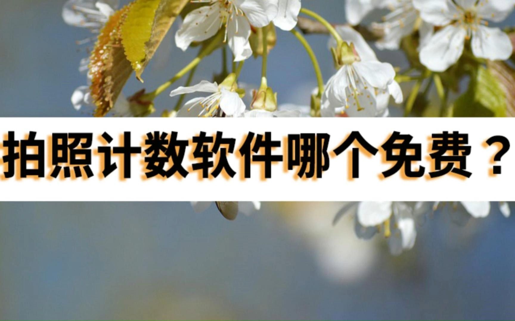 拍照计数软件哪个免费?分享两款自动工具