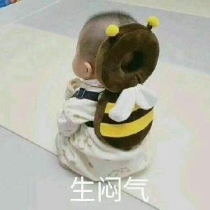 无产者联盟号 