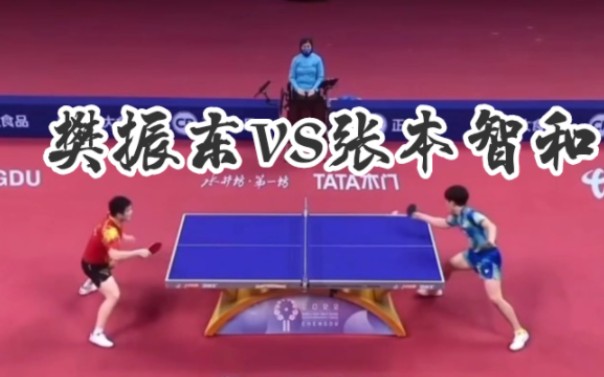 这球太精彩了!樊振东VS张本智和