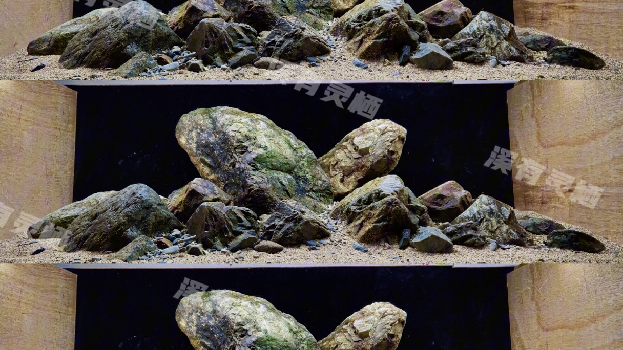 发几套1.2-2米原生溪流缸造景沙盘素材。有喜欢的点赞收藏起来哦,...