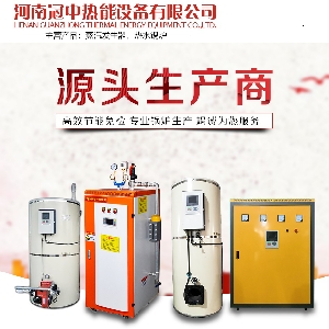 蒸汽发生器厂家王 