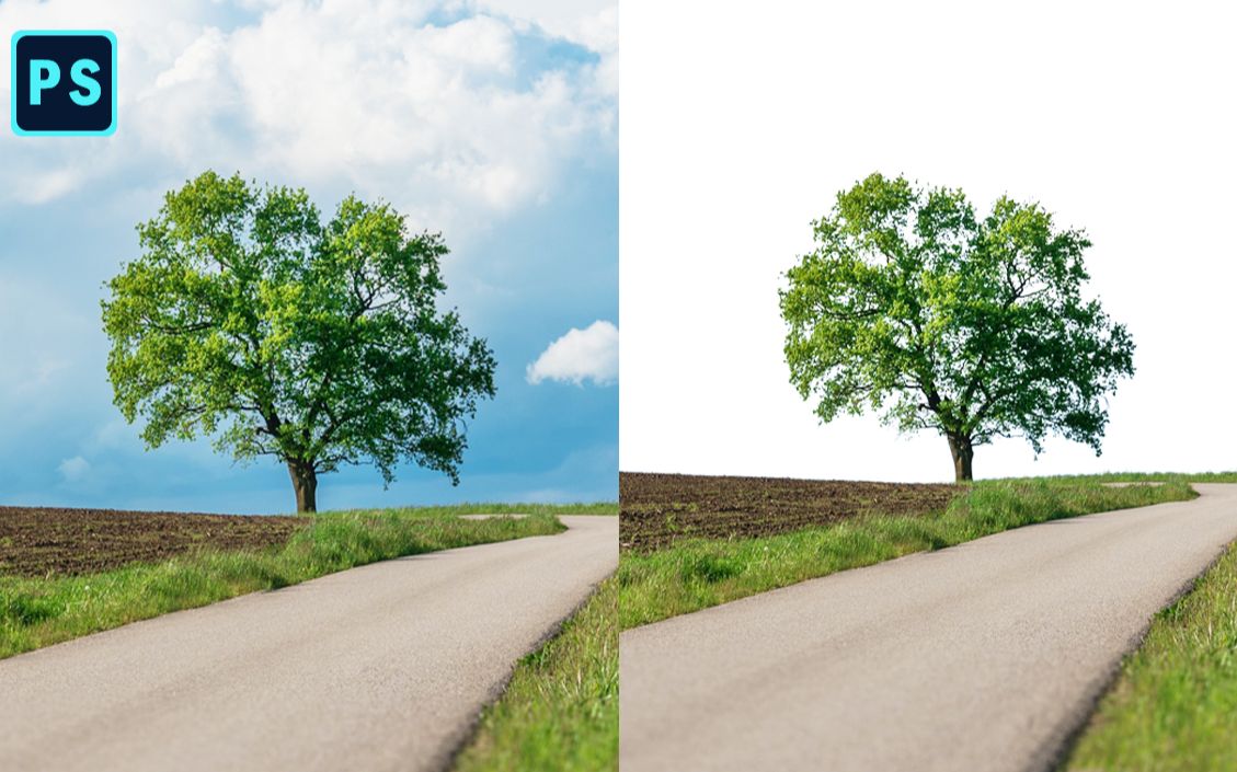 使用Photoshop通道扣出大树