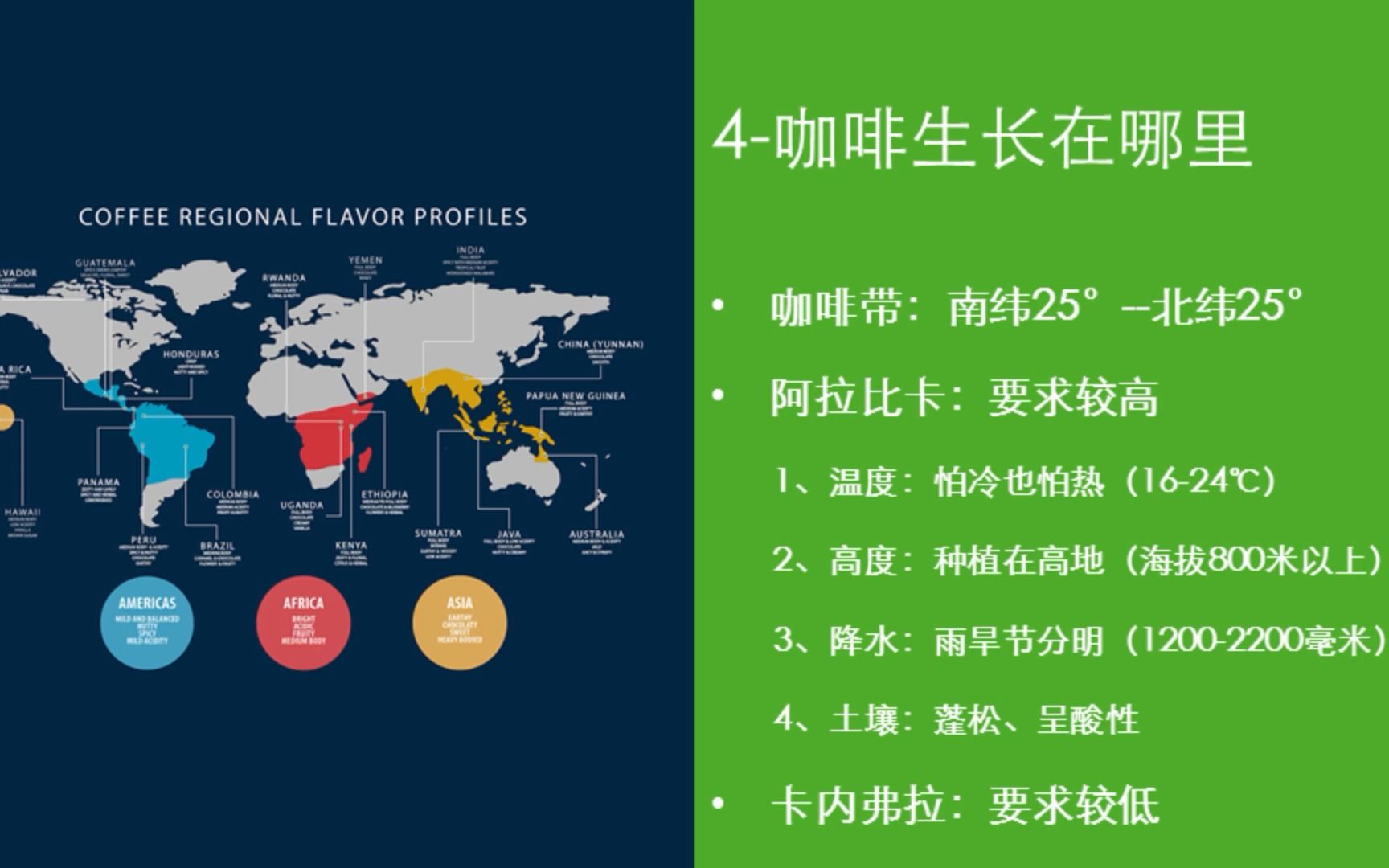 嗡嗡说咖啡第四集:咖啡生长在哪里