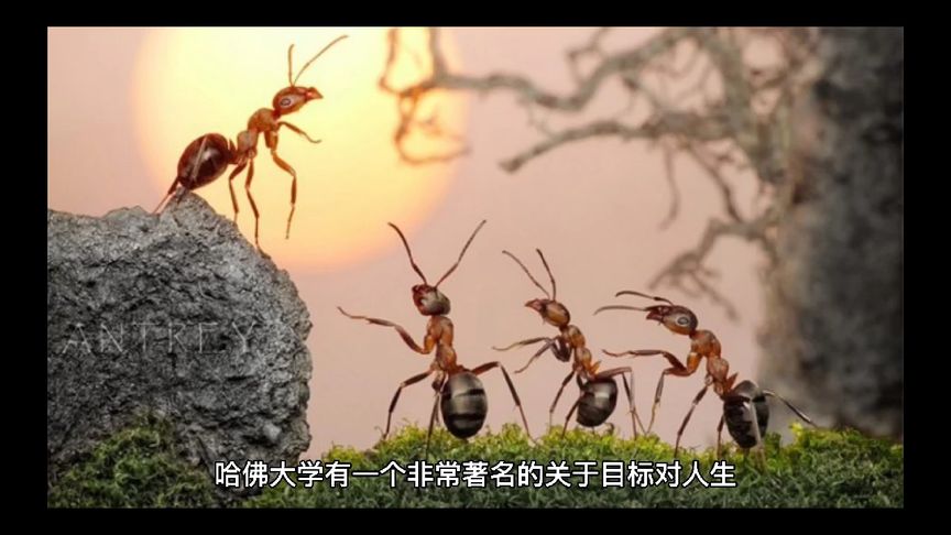 励志故事——目标的威力