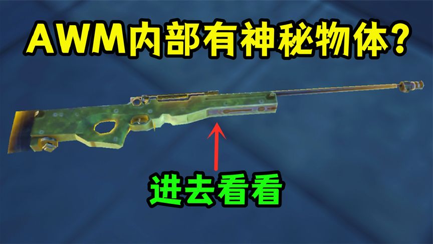 AWM内部结构探秘,进去之后,里面竟有个神秘物体