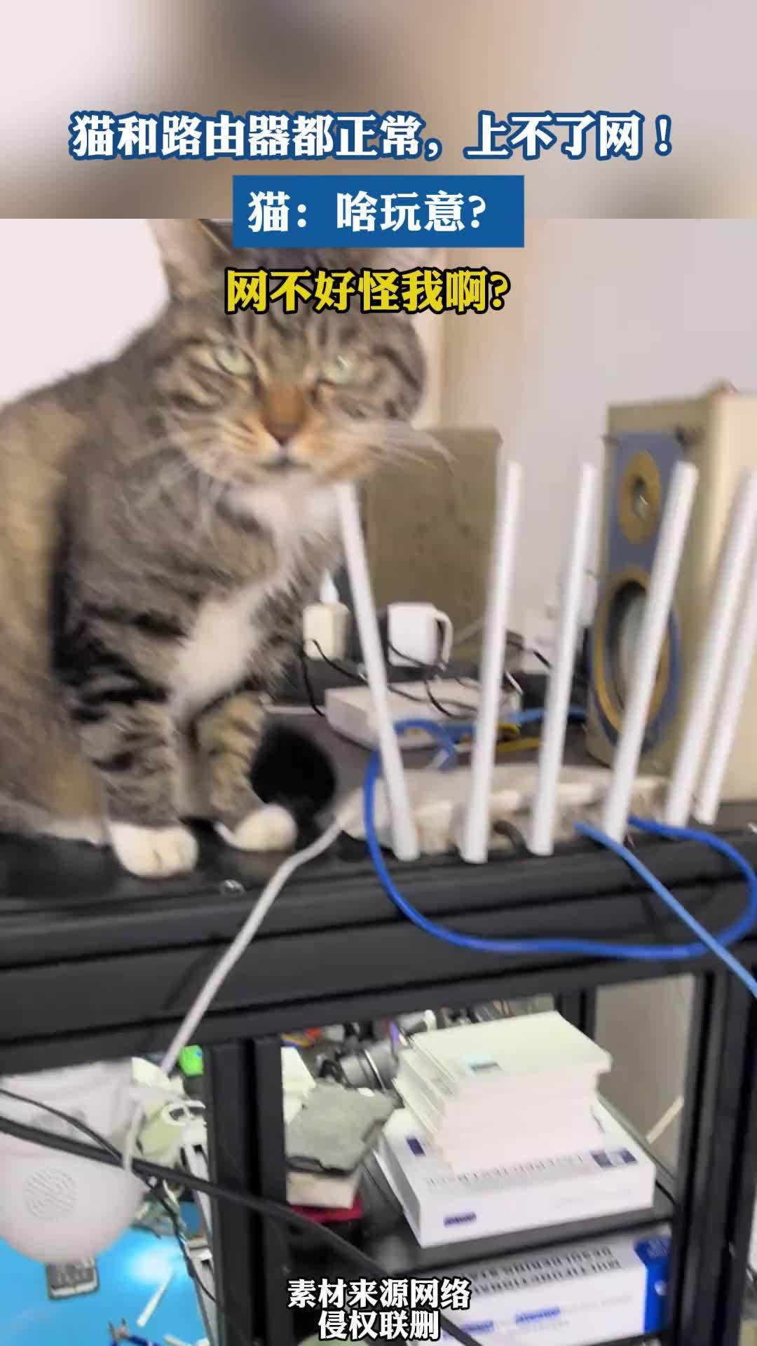 猫和路由器都正常,上不了网!猫:啥玩意?网不好怪我啊?
