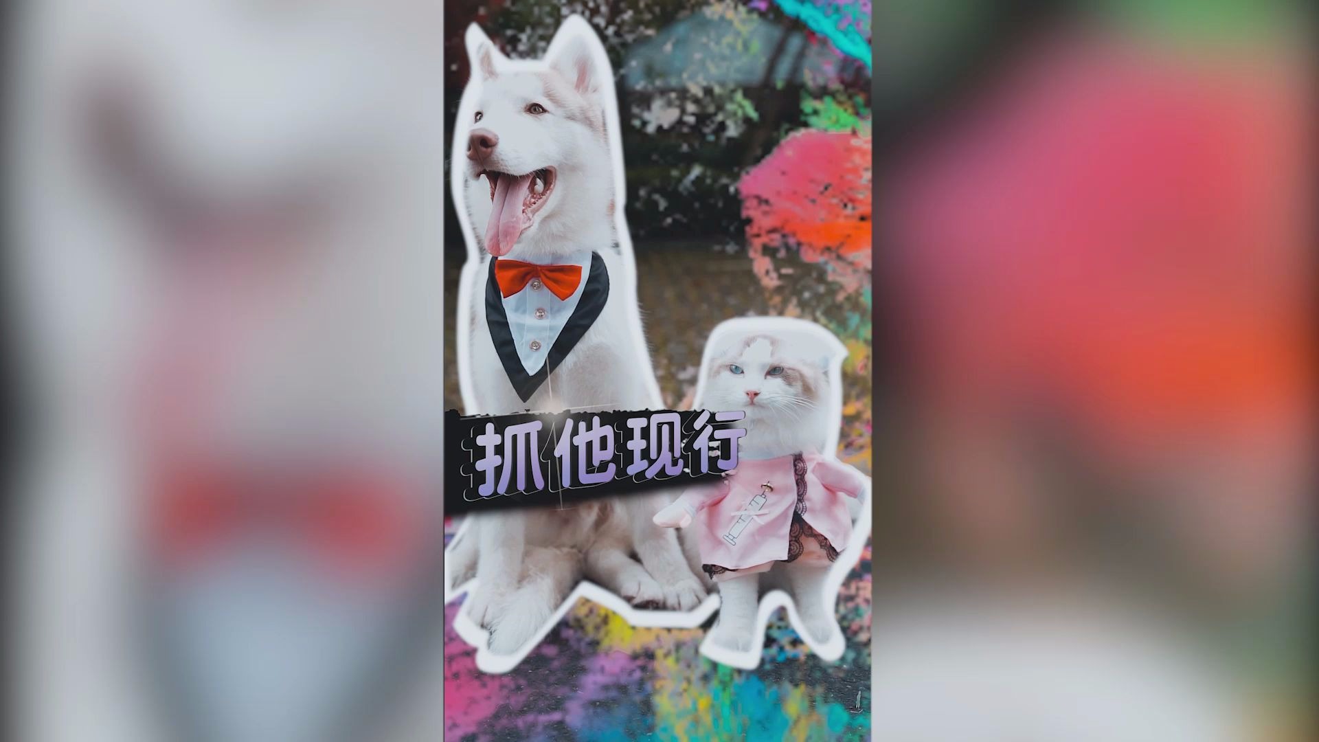 90 60 90是什么意思呢?