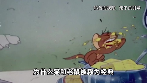 猫和老鼠有哪些震惊的细节不愧是经典动画