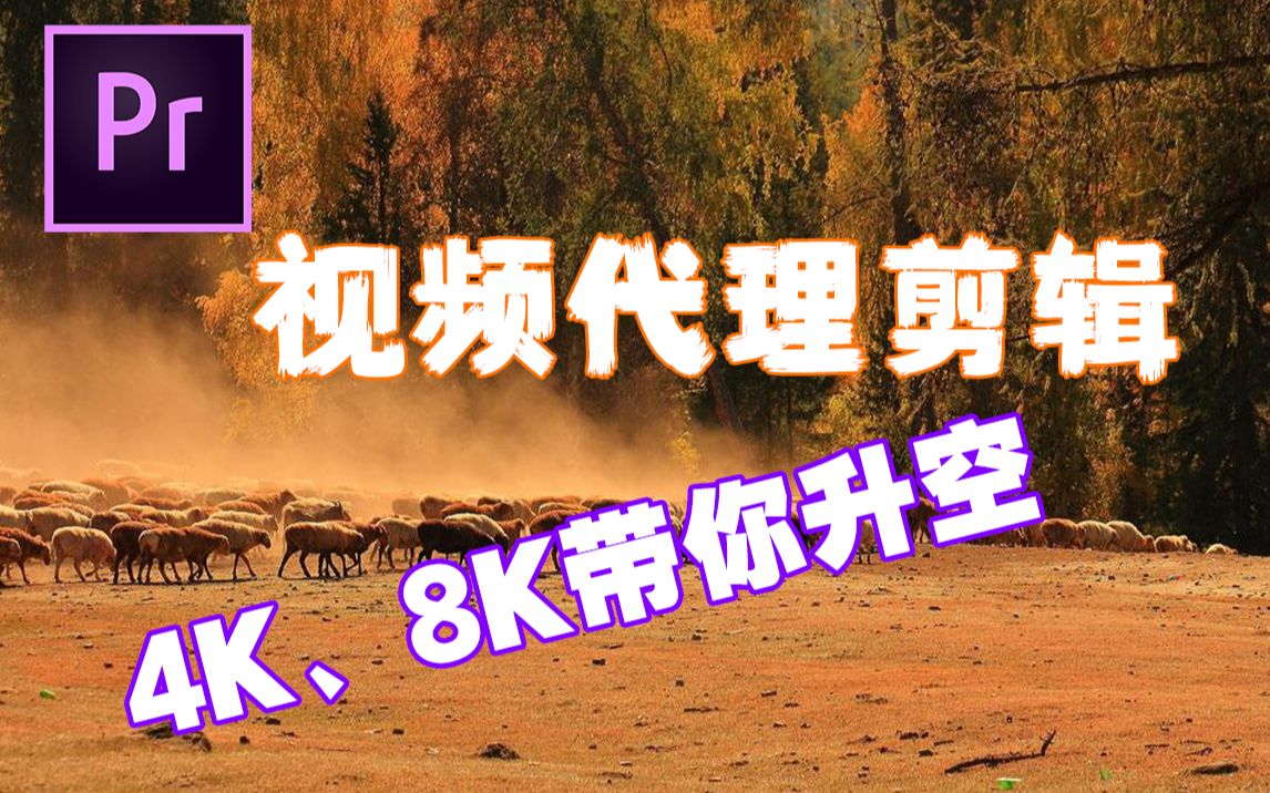 【Pr教程】设置代理剪辑视频4K 8K流畅剪辑不再卡顿