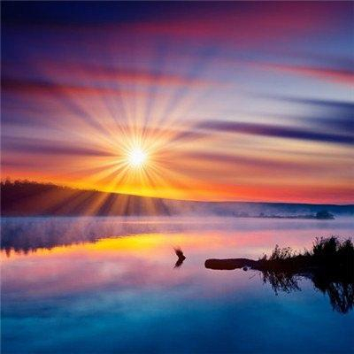 天天向上sunshine 