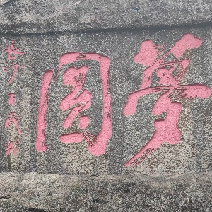 初高中数学资料共享 
