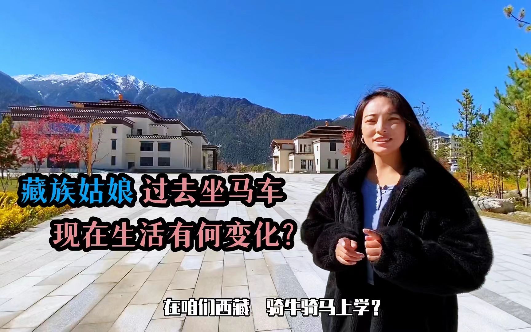 西藏都是骑牛骑马上学吗?卓玛带你看西藏学校,藏族同学精神饱满