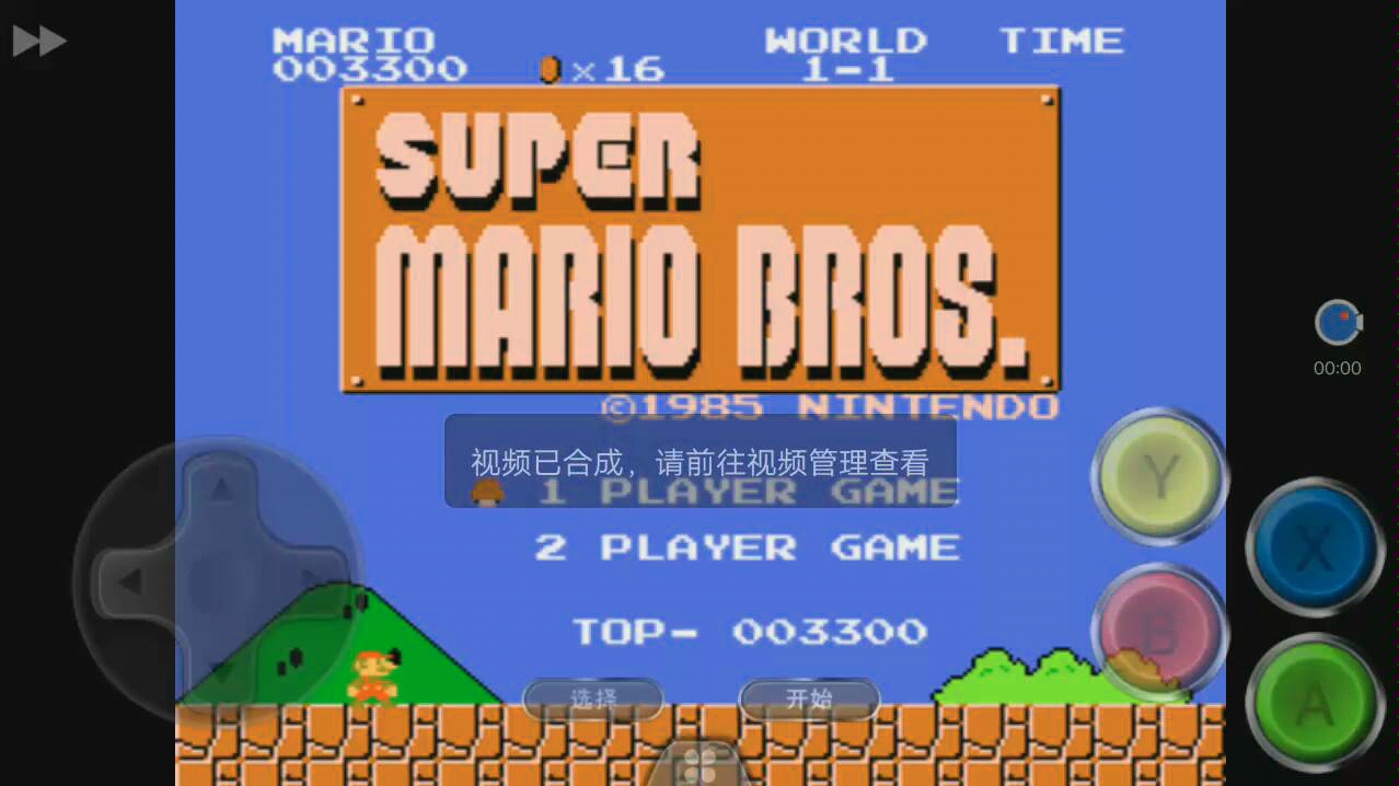 小鸡模拟器超级玛丽