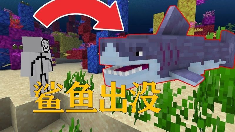 我的世界木筏求生02:鲨鱼出没,小心捕鱼