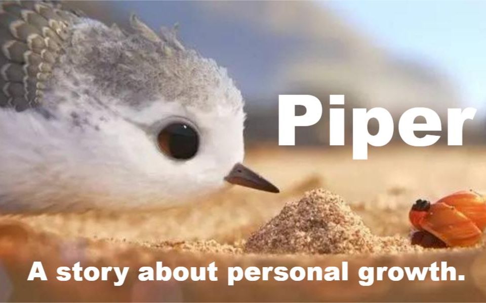 【广外英文配音视频】奥斯卡最佳动画短片 Piper