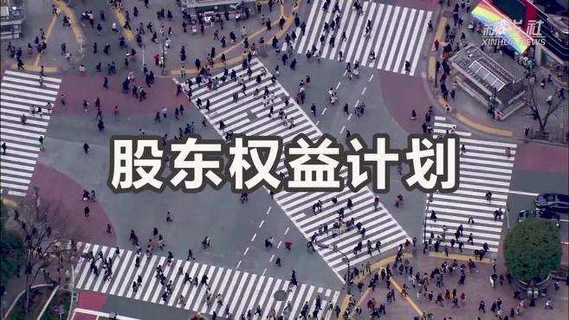 财经小贴士--股东权益计划