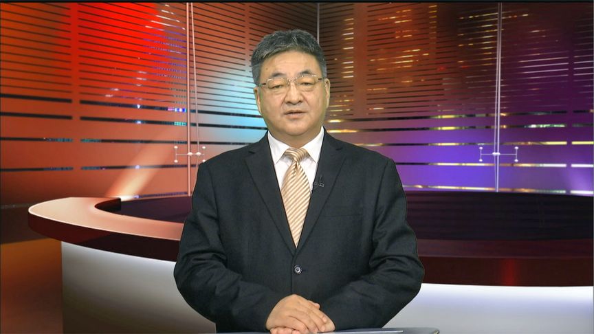 陈冰:进博会如期而至意义重大 将提振全球经济发展信心