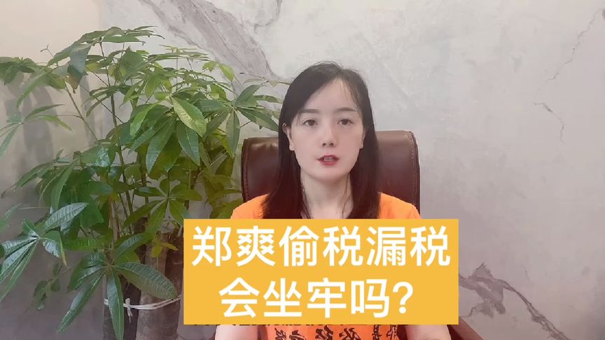 郑爽偷税漏税会坐牢吗?