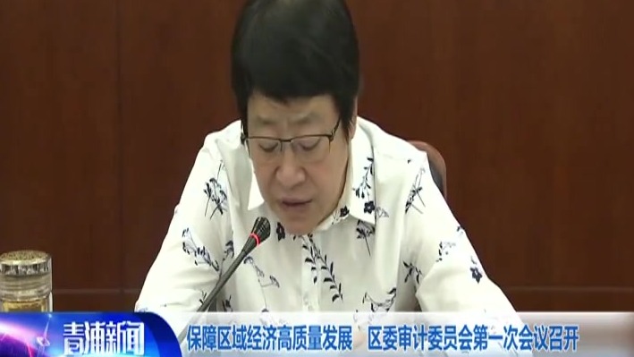 区委审计委员会第一次会议.